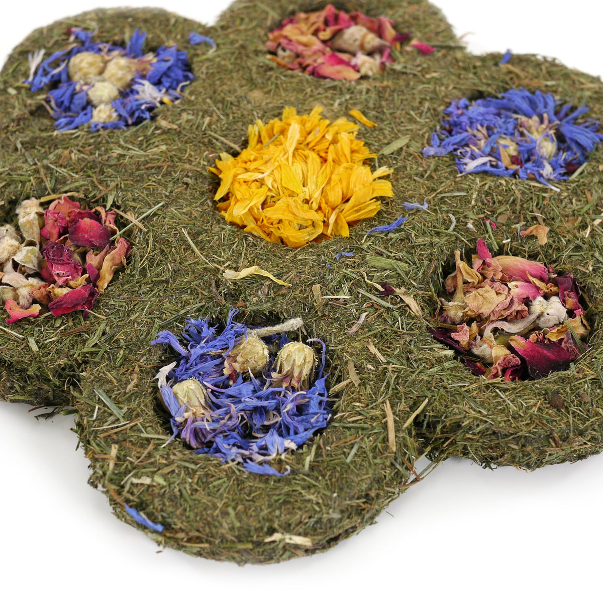 Flower & Forage Blossom - Reddy Set Go